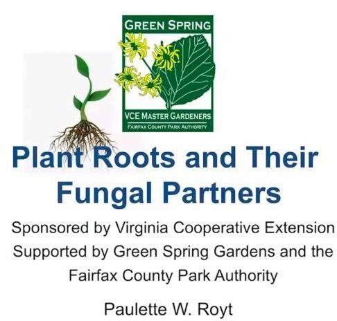 Plant Roots and their Fungal Partners - JCCWilliamsburg Master Gardener ...